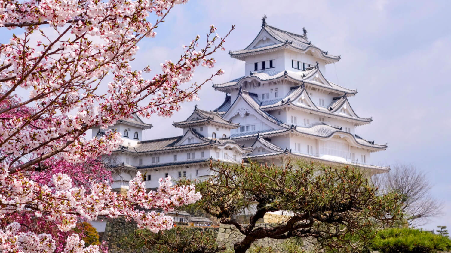 Japan Travel Blog | JAPAN and more