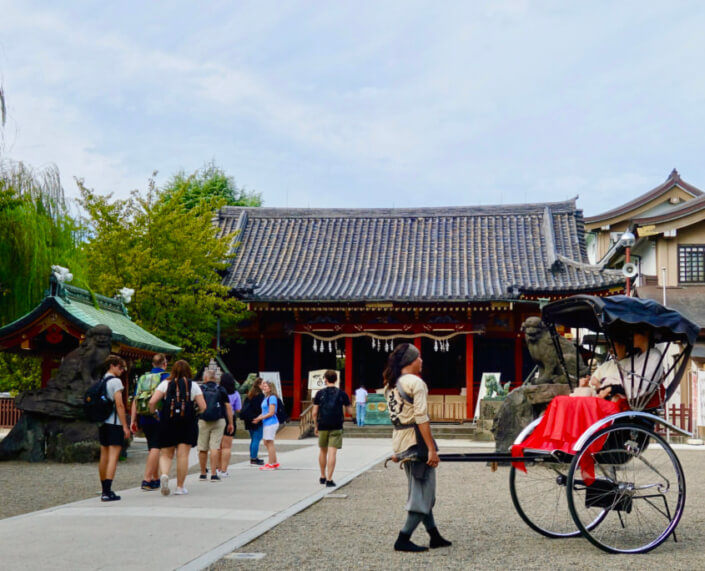 Highlights of Our Unforgettable 2023 Japan Autumn Tours | JAPAN and more